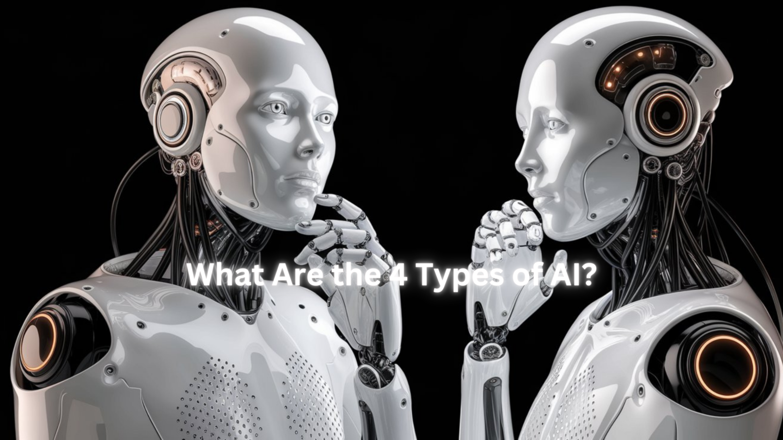 What Are the 4 Types of AI?